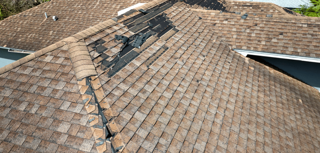 Types Of Roof Storm Damage in PLano, TX | Dane Roofing, LLC